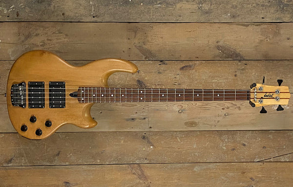 Wal MKII Custom 1993 – The Bass Gallery